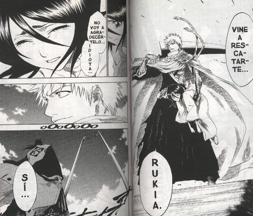 Trayectoria del manga en Mèxico: Bleach: Cosechando almas con estilo