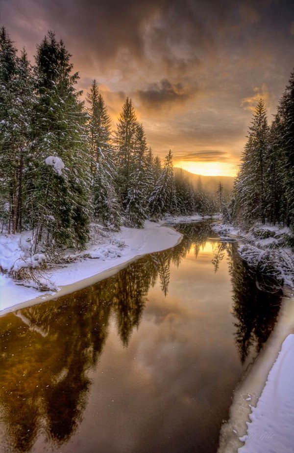 Herbert River, Alaska United States