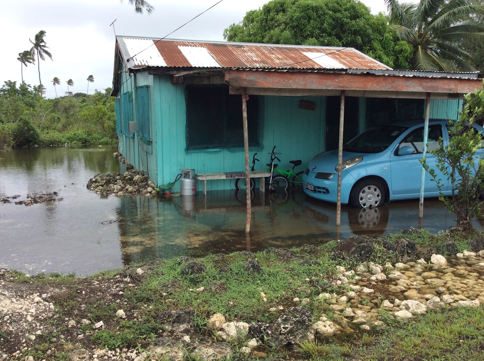 Murdocks In Tonga: Flooding in Kolomotua