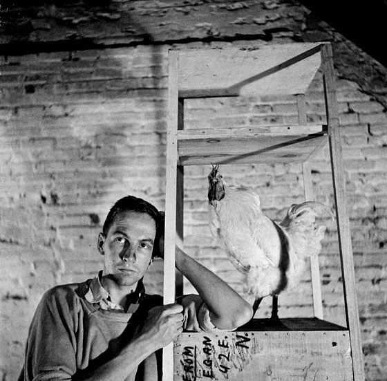 Lucindaville: More Famous People with Chickens