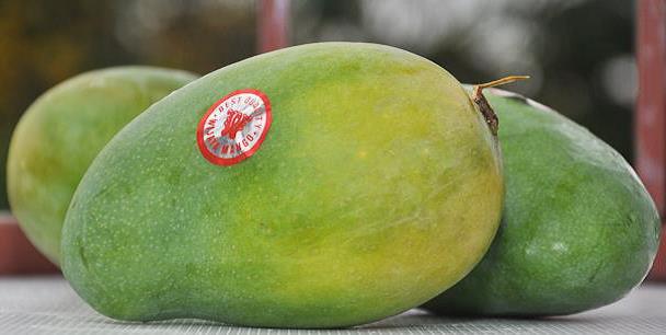 Agromanis: About Harumanis