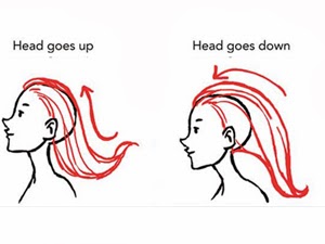Unit 33 Stop Motion Animation: Basic Principles of Animation