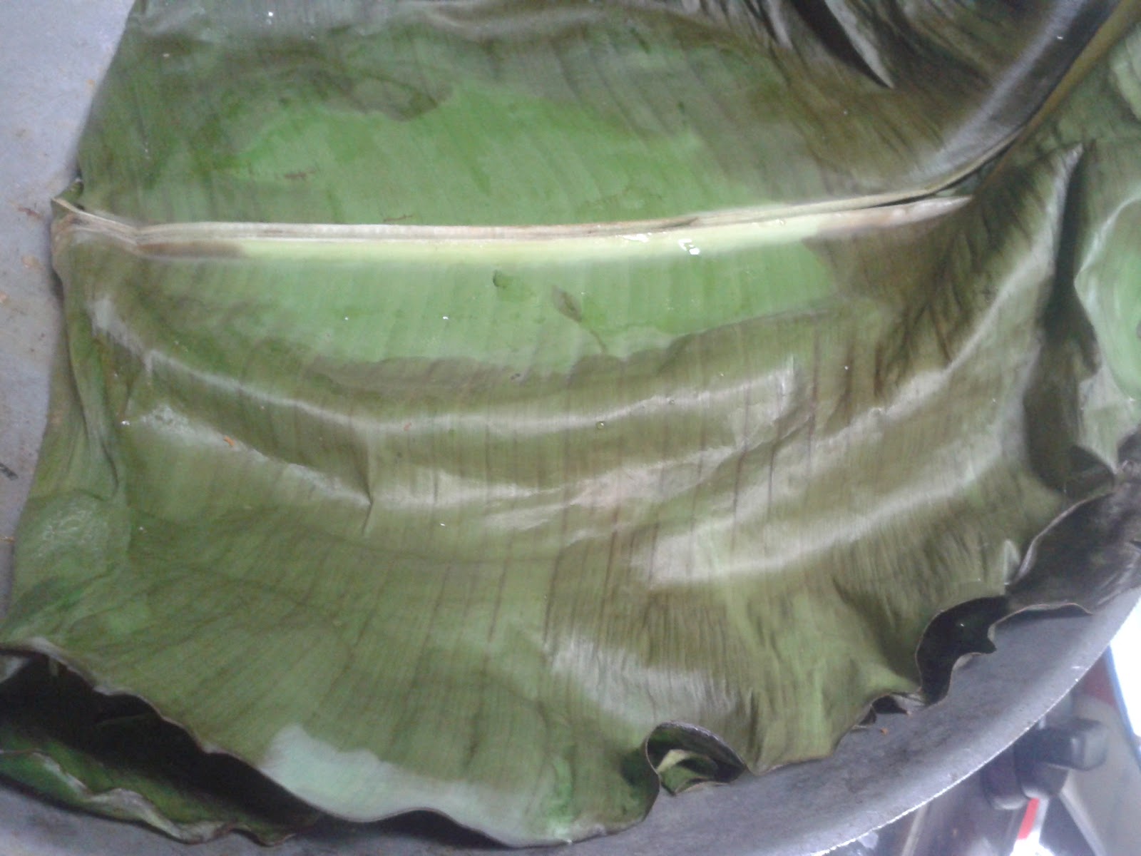 Suatu petang yang damai...: Tumpi Ikan