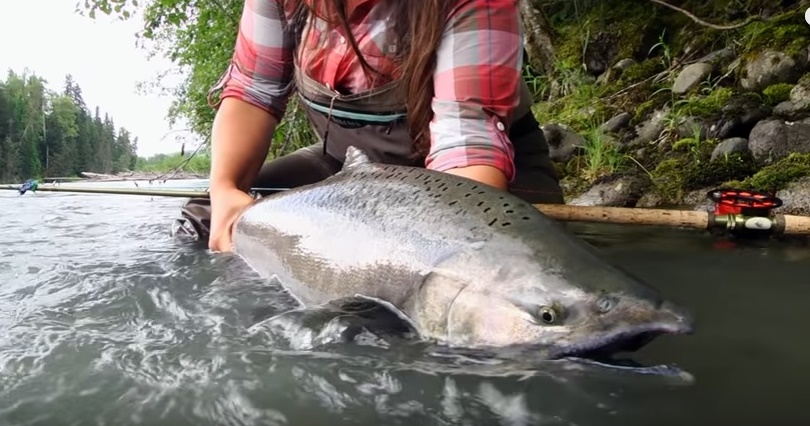 British Columbia Chinook Salmon Fishing