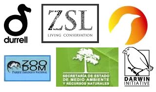 Design Context Year 2: WIldlife Conservation Logos