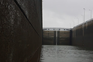 Cruises of the "Bucket List": Pebble Isle Marina to Pickwick Lake