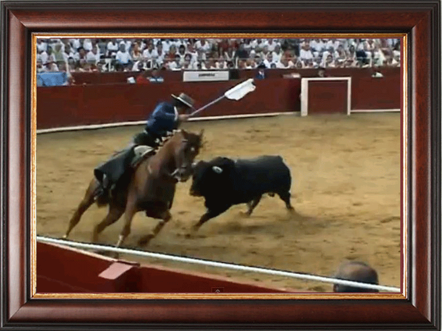 tauromaquia: El Rejoneo