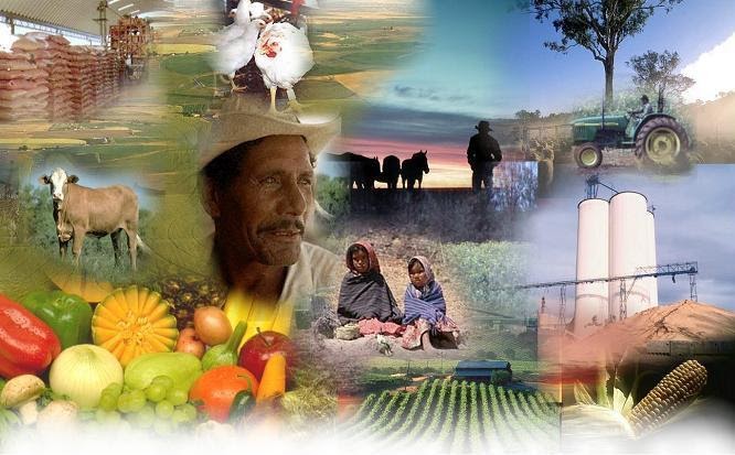 Escenario Socio Cultural: 3.2.4 Desarrollo Urbano y Rural