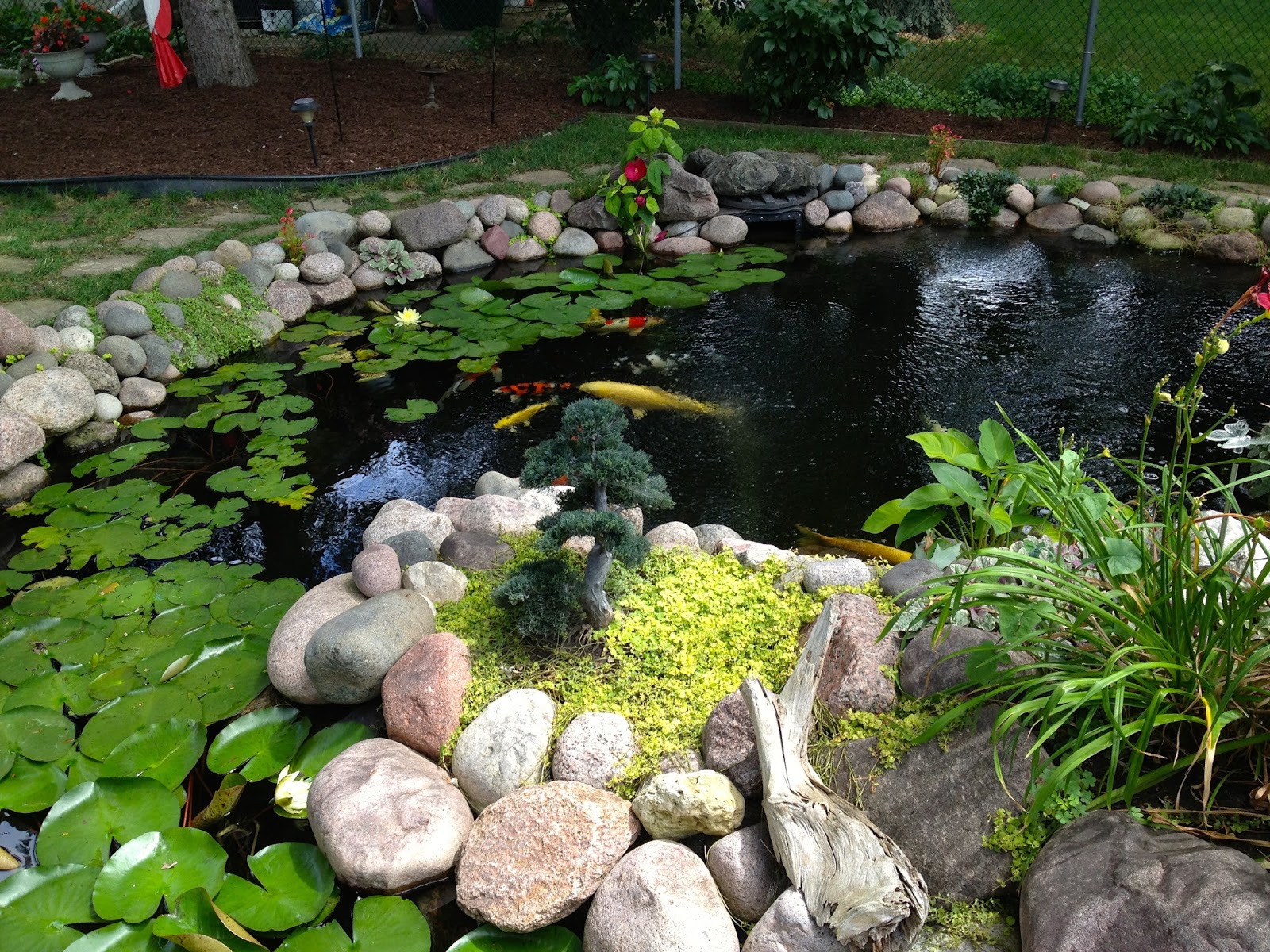 Anoxic Filtration System: With A Little Foresight The Mucerino’s Will ...