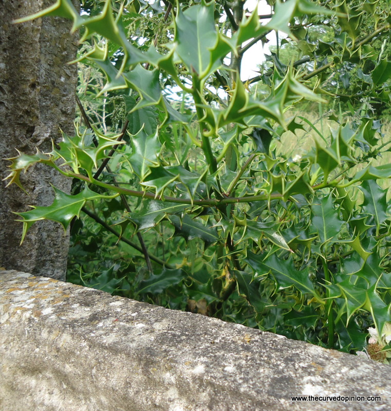 Review of Ruby Rocks Dress - The Curved Opinion