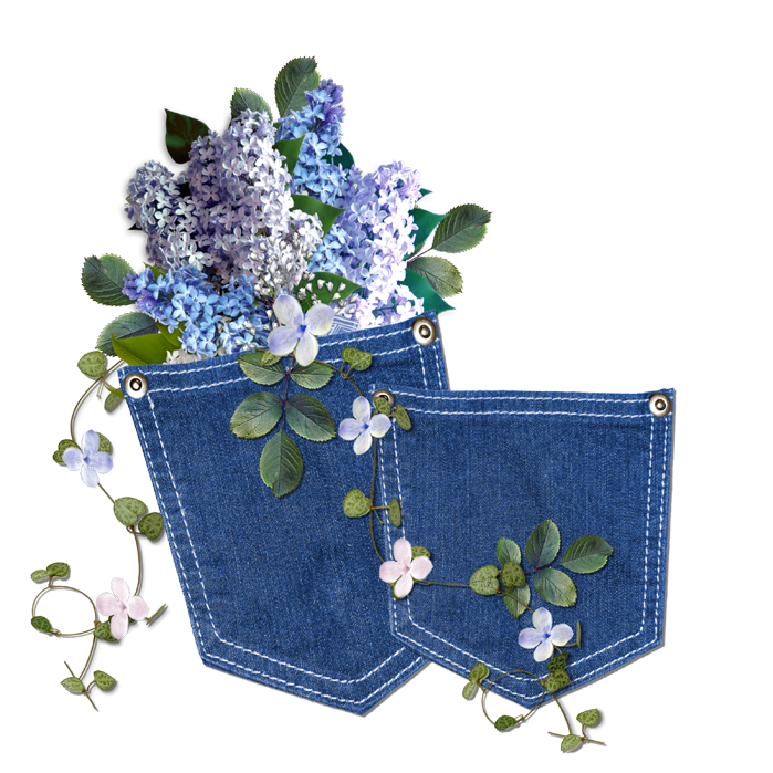 ForgetMeNot: Denim