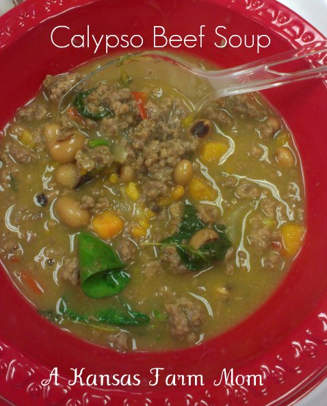 Tales of a Kansas Farm Mom: W4DW-Calypso Beef Soup