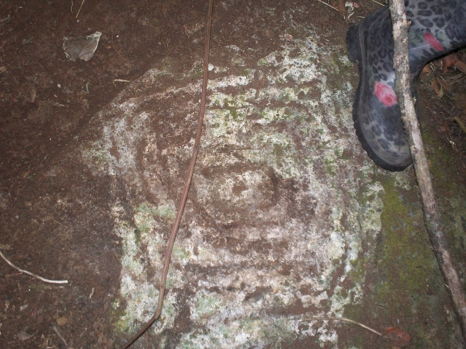 El turismo como factor de desarrollo de Tibacuy, : Recorrido por los ...