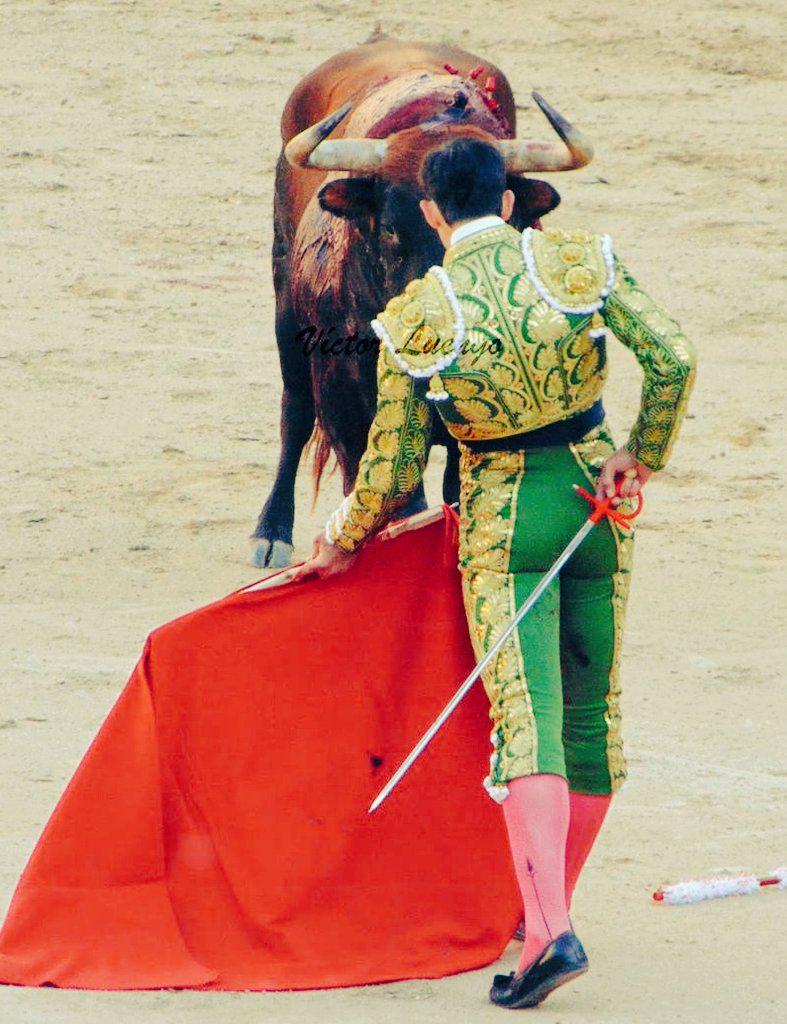 La razón incorpórea: Dicen que los toreros de ahora no tienen personalidad