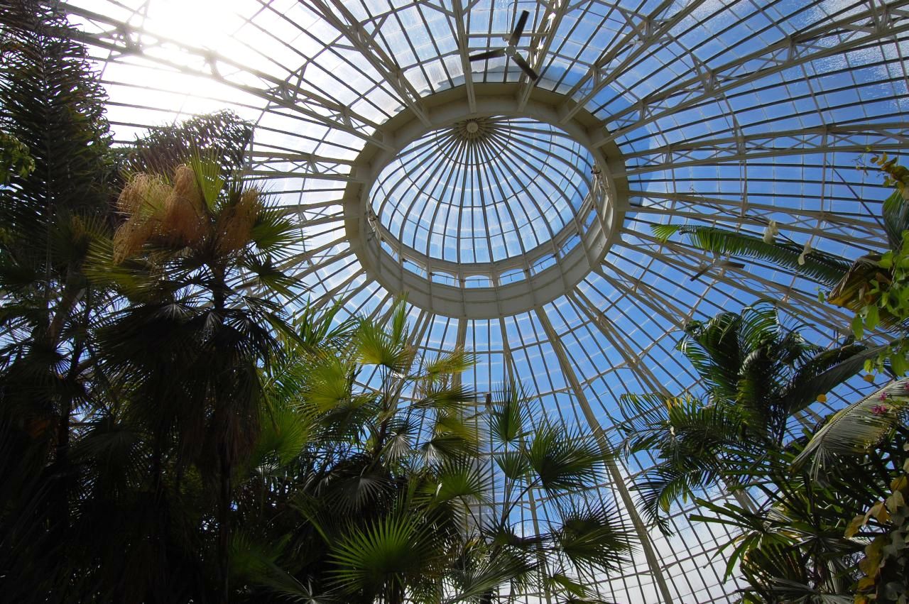 Visit Botanical Gardens Buffalo | Travel Quest - US Road Trip and ...