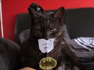 The Invasion Of the Zombie Cats Story | Super Meow Meow