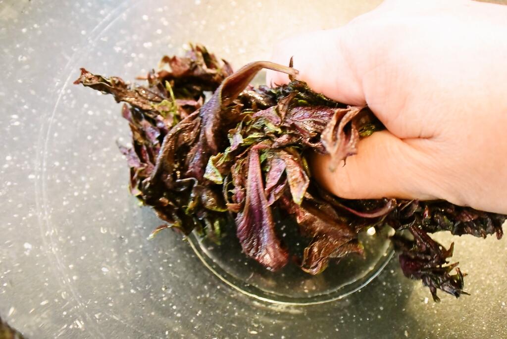 Recipes for Tom: Shisozu / perilla-infused vinegar