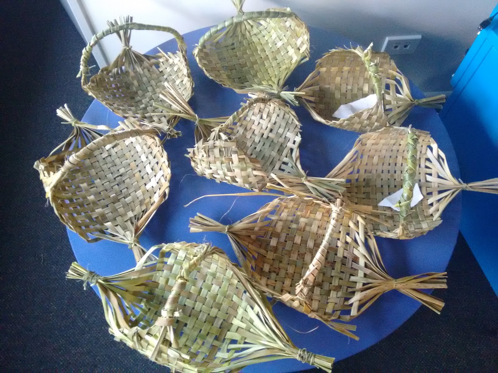 Room 6 @ Haumoana School 2016: Harakeke