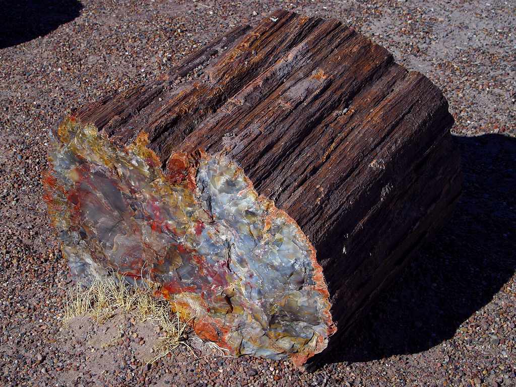 Ciencias de la Tierra (geología - geografía): ROCAS SEDIMENTARIAS - El ...