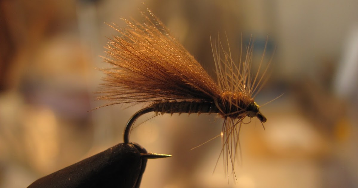 WesternSportfishing.ca Journal: The Best Fly in the World