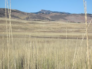 Trail and Park Reviews: Coyote Ridge Natural Area, Loveland and Fort ...