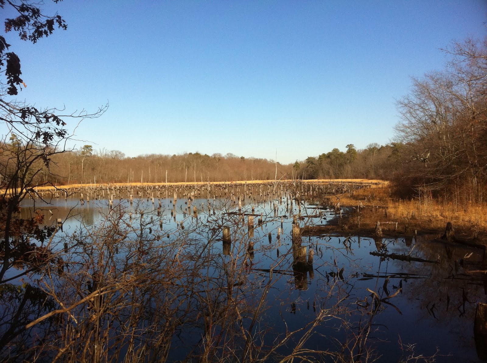 Agile Trekker: Allaire State Park and Allaire Village, NJ