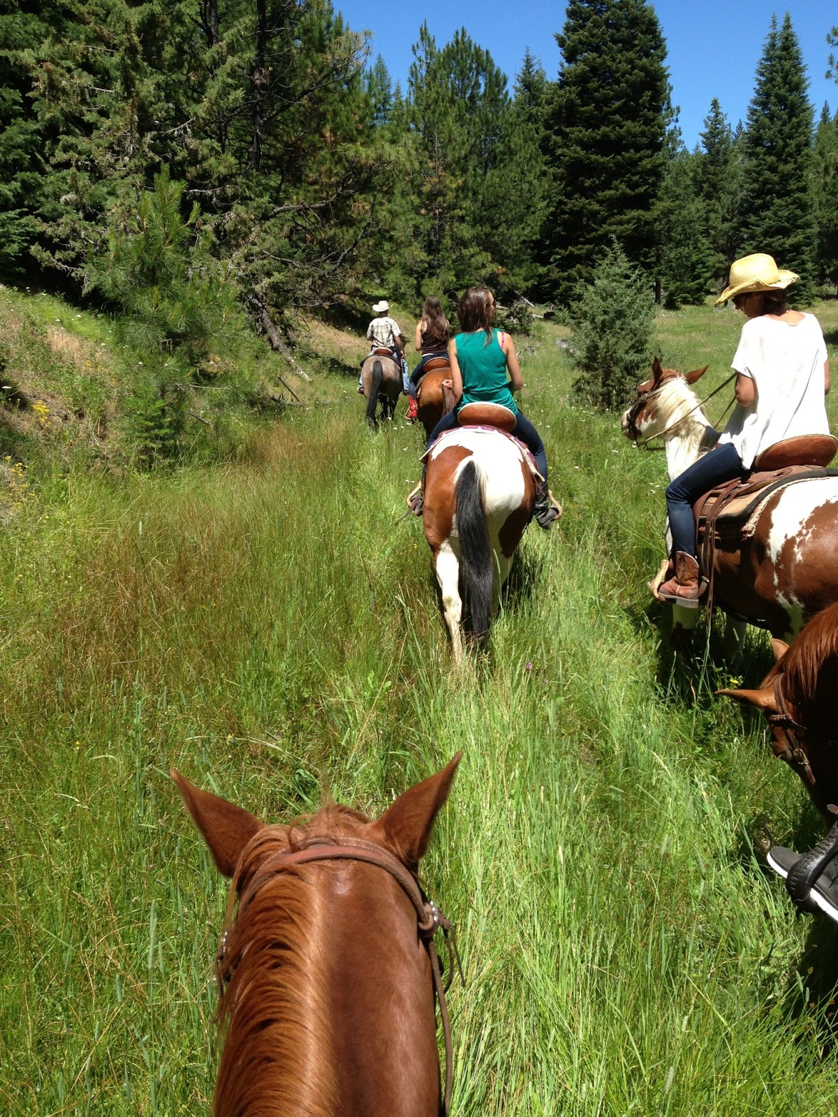 Back-handsprings Through Bridgetown: Faith