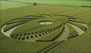 TP Talks: CROP CIRCLES
