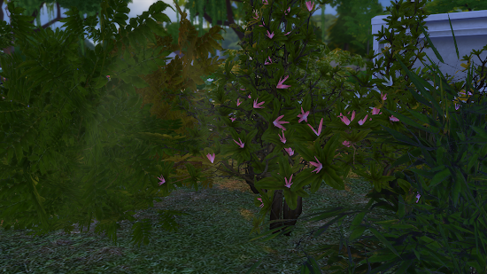 Helen-sims: TS4 Bushes set