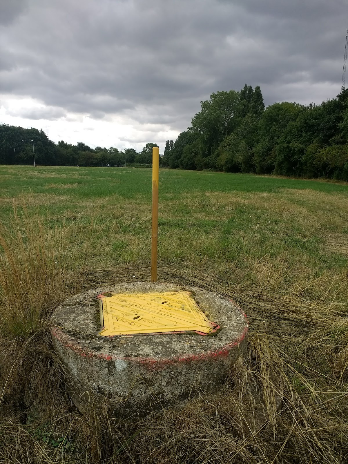 Perambulatory Ramblings: Coldhams Common: Liminal Greenspace