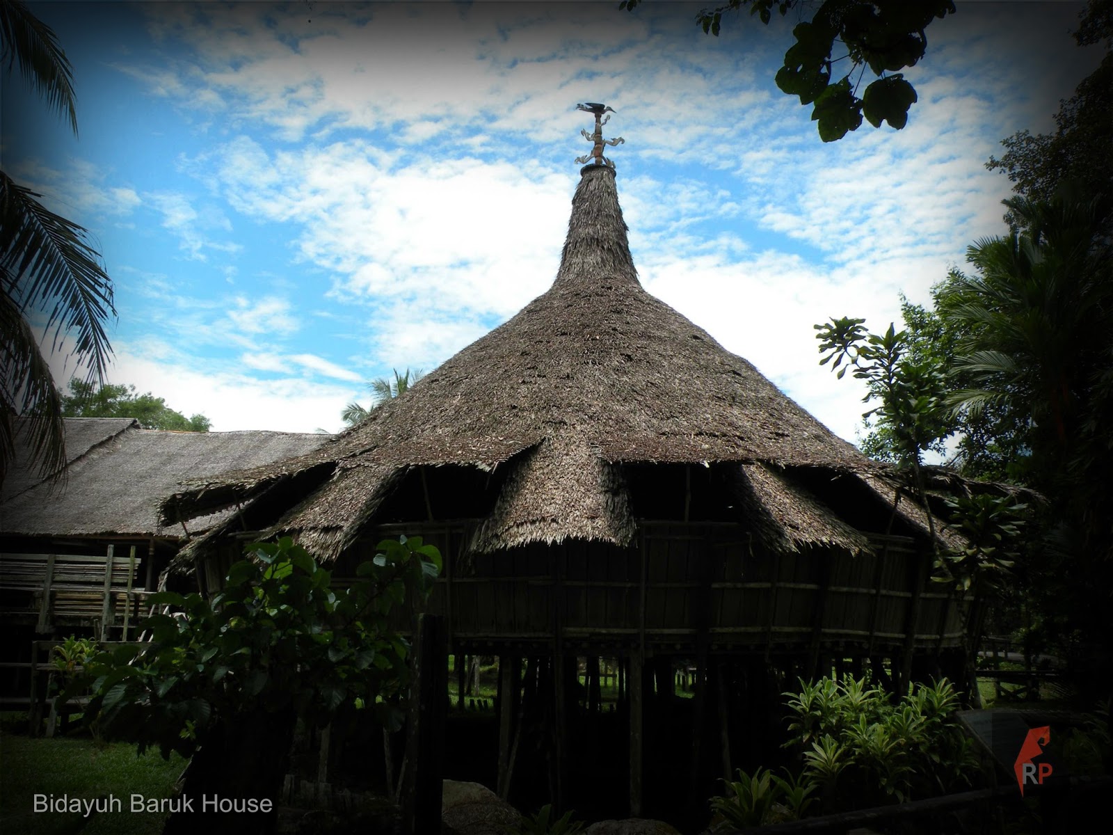 RedParrot: RUMAH TRADISI KAUM BIDAYUH