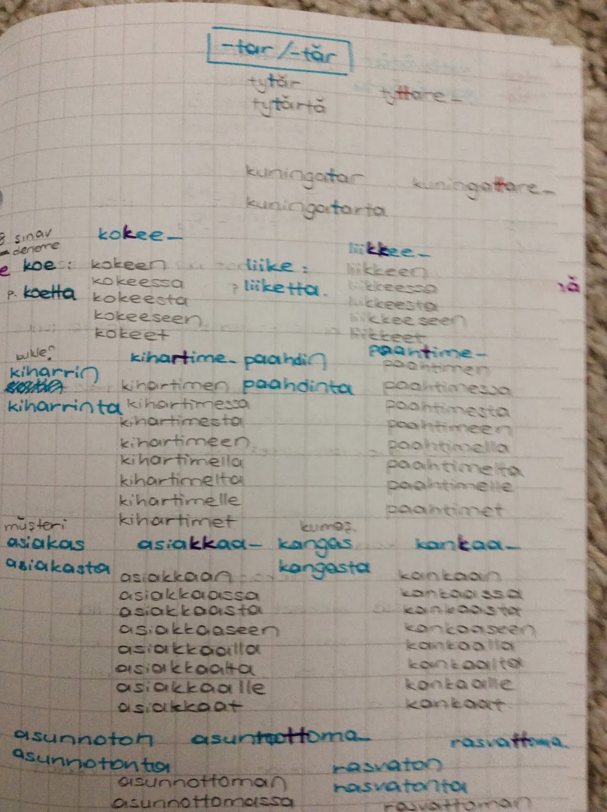 Finnish Notes: NOMINITYYPIT