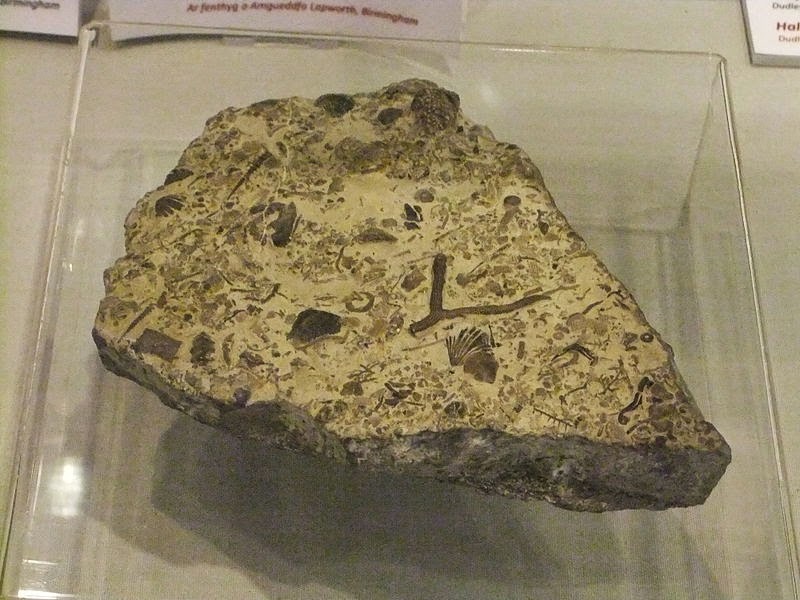 History of the Earth: April 6. Silurian fossils in Great Britain