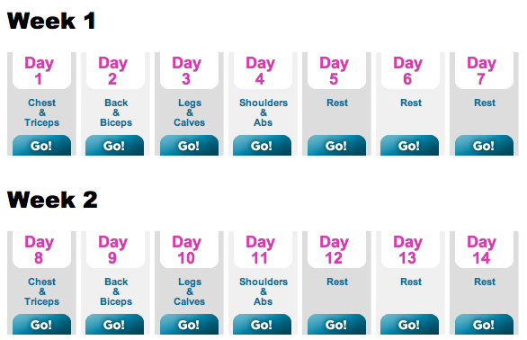 My Current Workout Routine (The Live Fit Program) Overview & Phase 1 ...