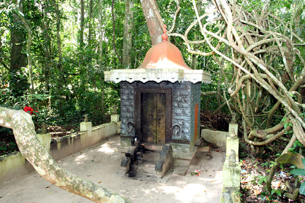 Gypssy Soul Footsteps: ♥ ♥ ♥ Mannarasala as the supreme place of ...