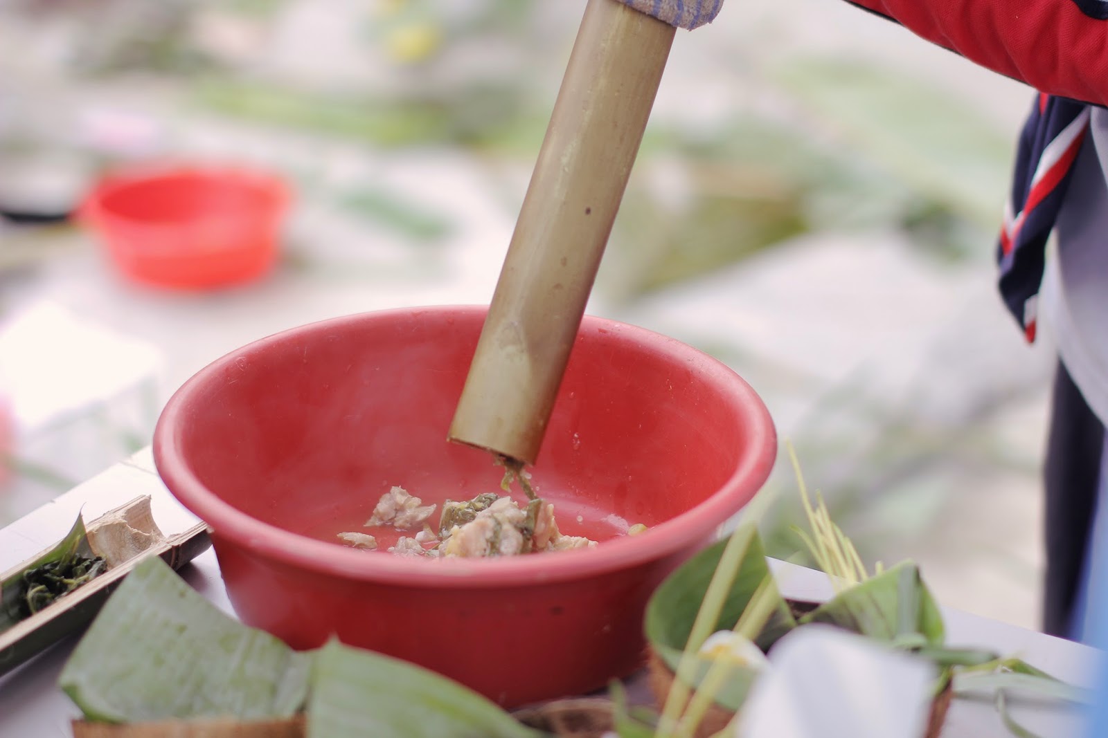 qurra: Masakan Rimba