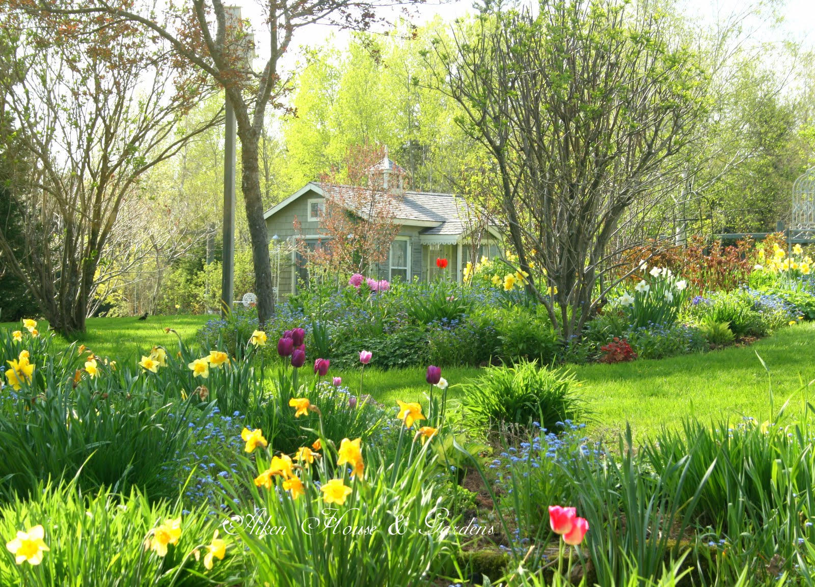 Aiken House & Gardens: Happy First Day of ....Spring?