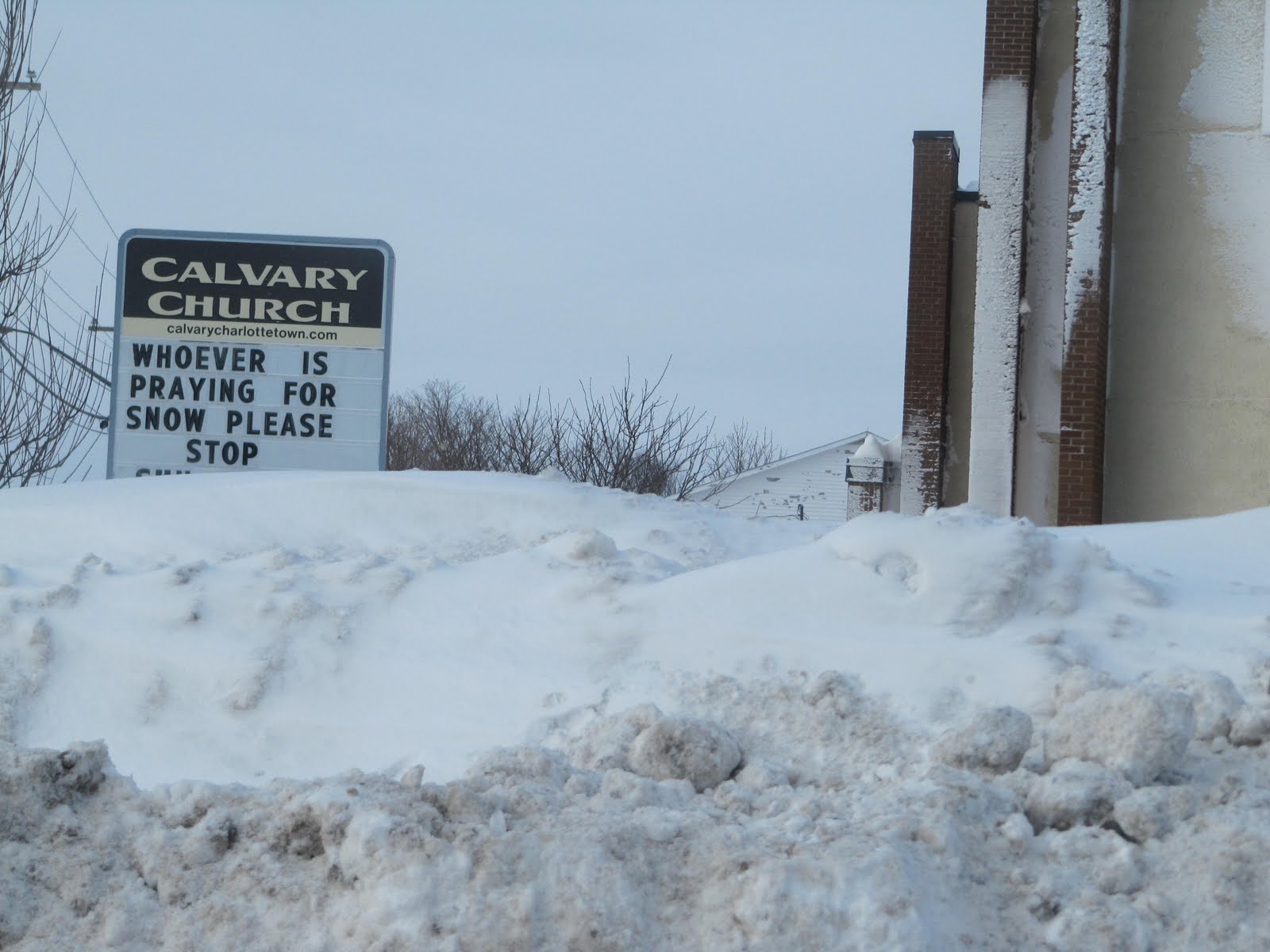 Heidi in the garden: enough snow already!