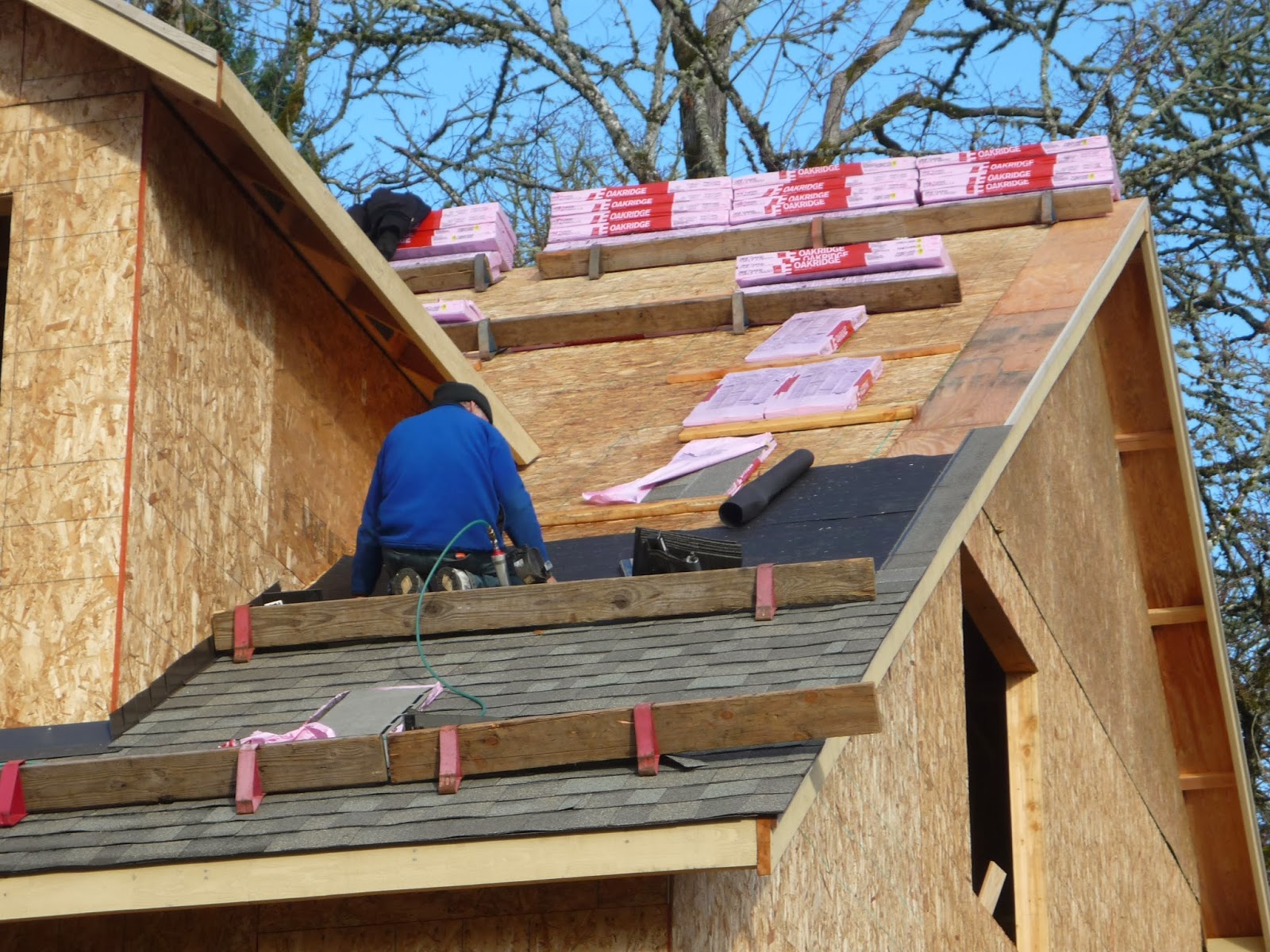 Sparrow Hill House Project: Roger the Roofer
