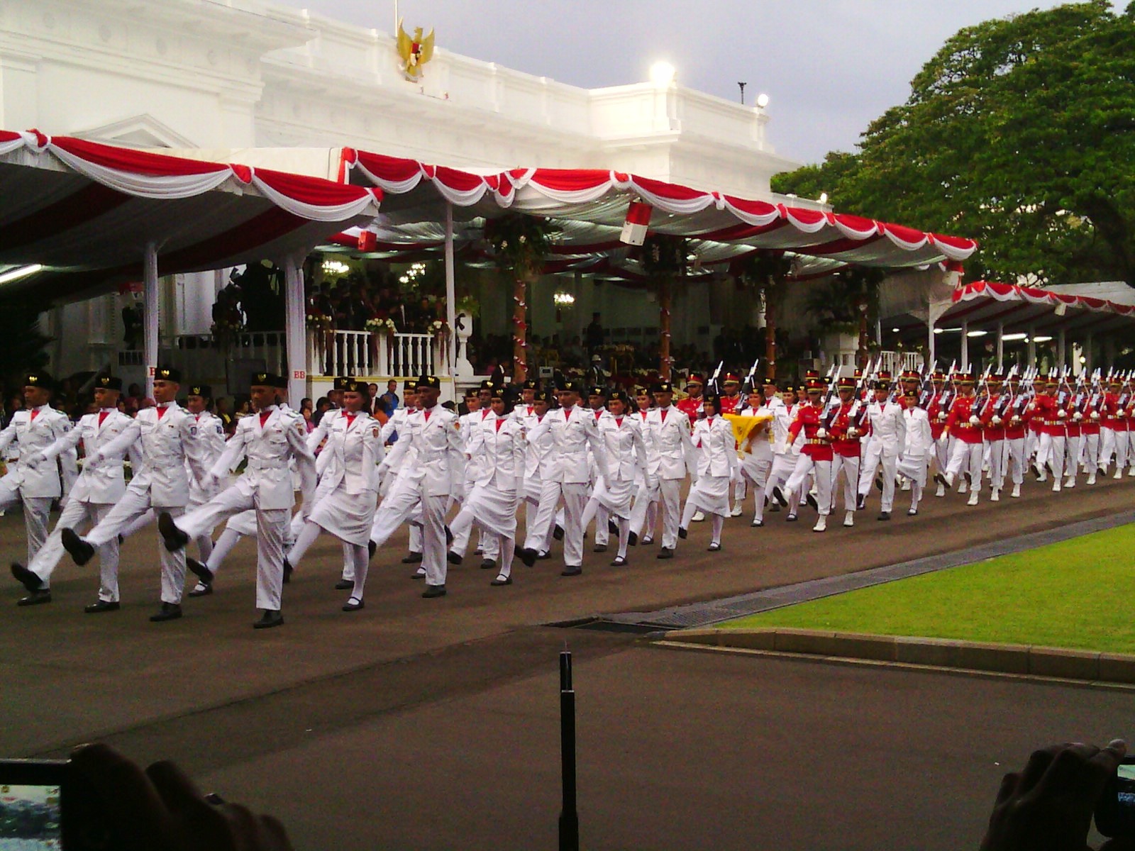 Selly Della Angelina : PASKIBRA