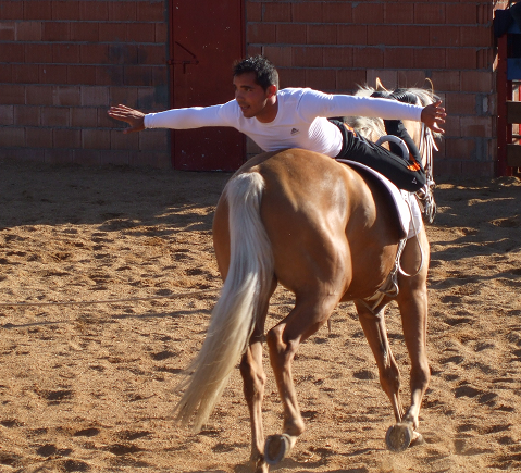 Blog Zuares Del Páramo (León): Esperctaculo de caballos Fiestas Zuares ...