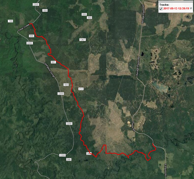 Heart and Sole: Ottawa National Forest - Trail among trees