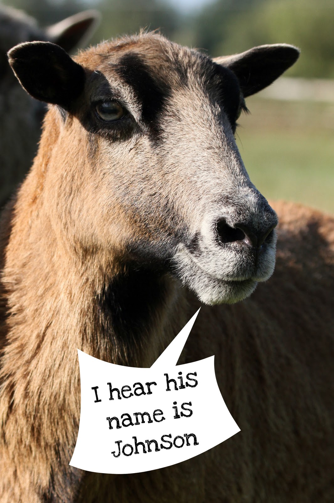 BCxFour: October 2011