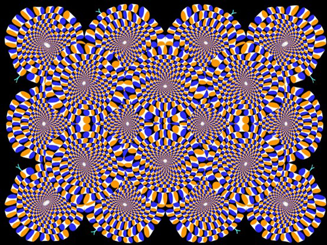 Optische illusies en gezichtsbedrog: Optical illusions