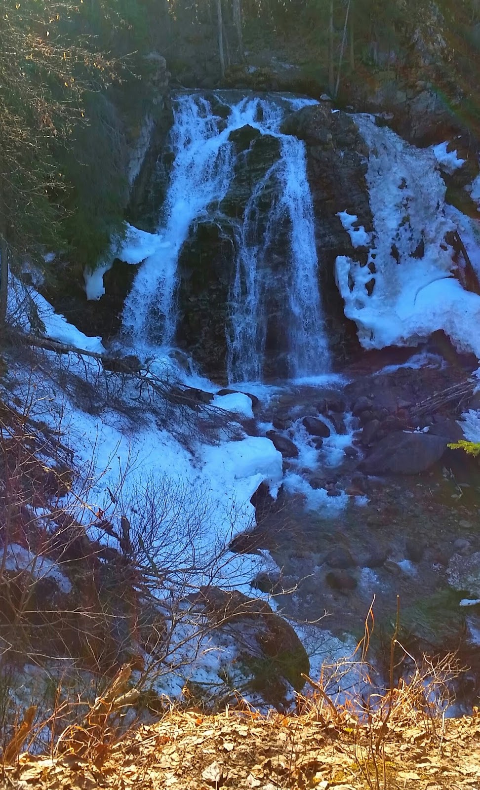 Alaska Llamas and Hiking