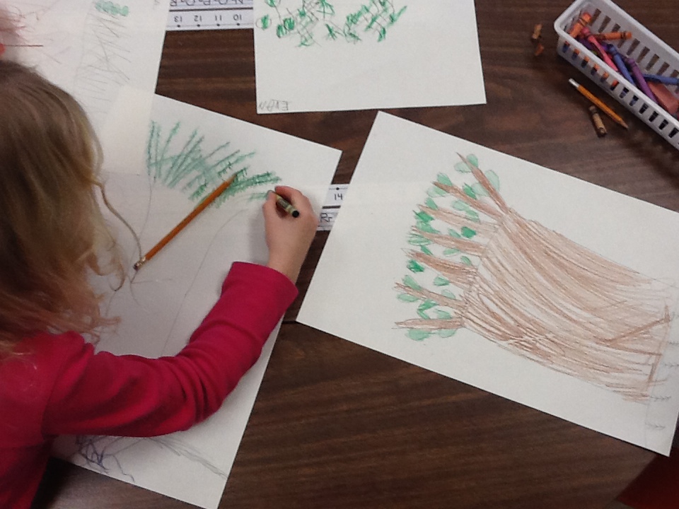 Division 1 and 2: Let's BRANCH out and learn about trees!