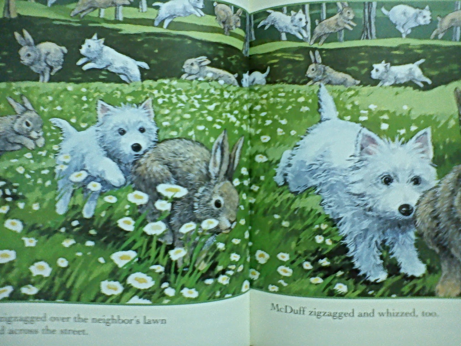 CHILDREN BOOKS FOR YOU: Mcduff Comes Home