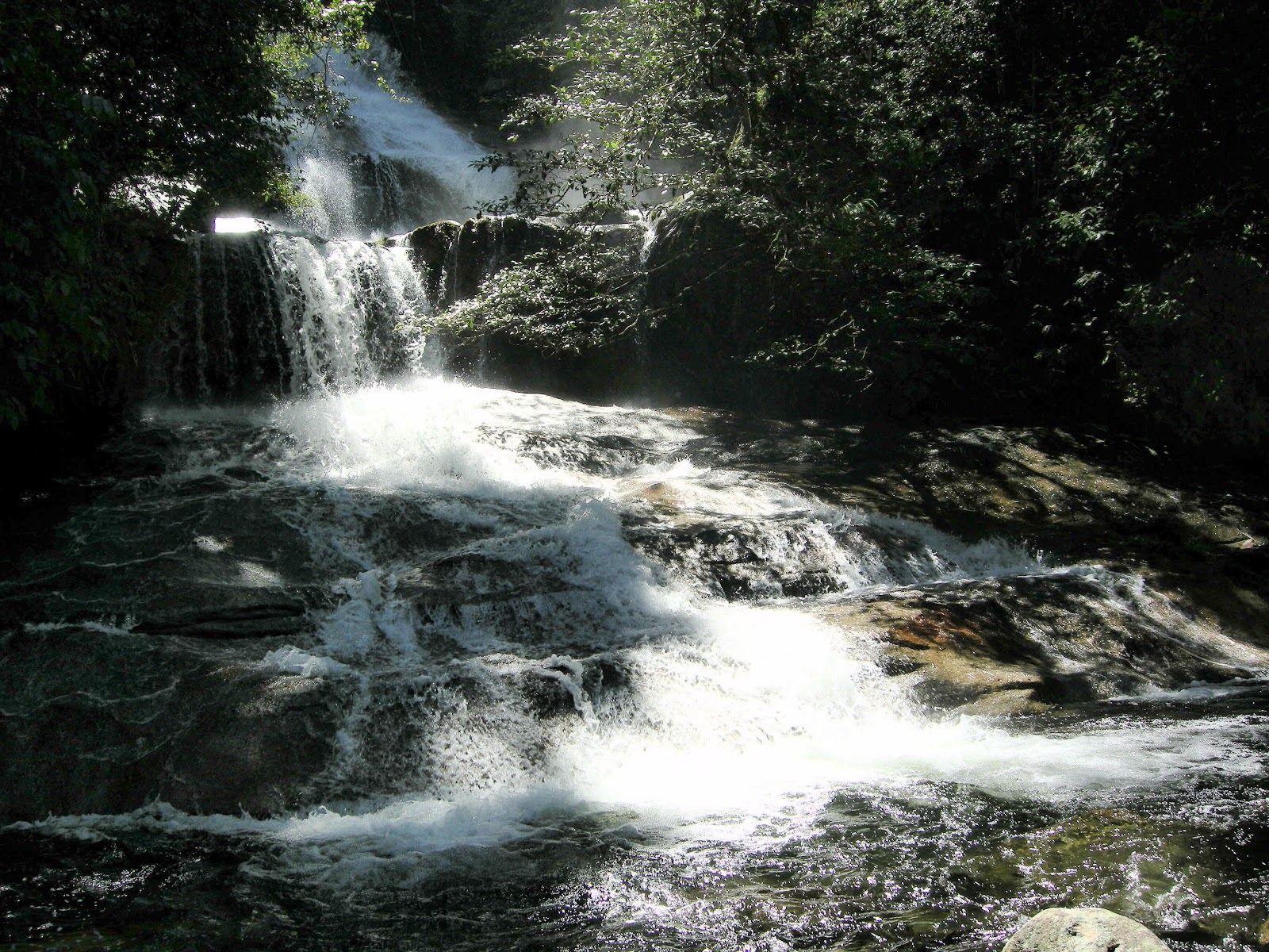 Glimpses Of The Terrains: Lata Medang, Lata Mecu & Lata Jerbus