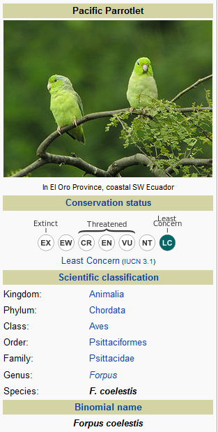 Εκτροφείο παπαγάλων parrotlet: Βασικές αρχές ταξινόμησης