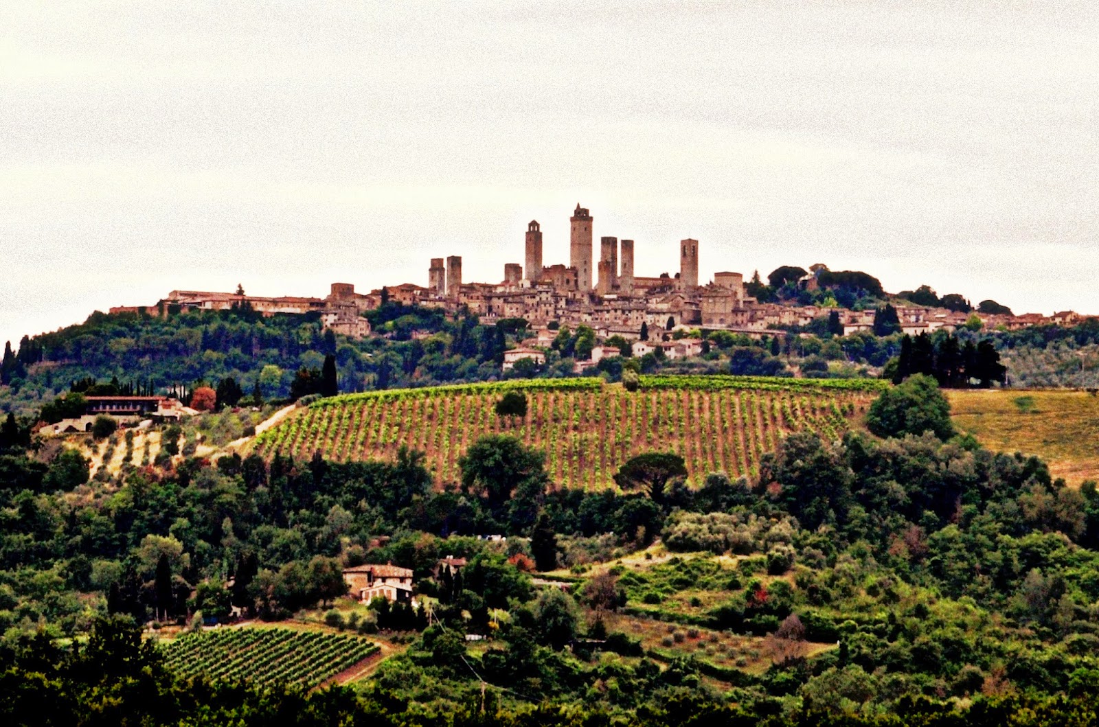 La vita è bella: Pici all'aglione